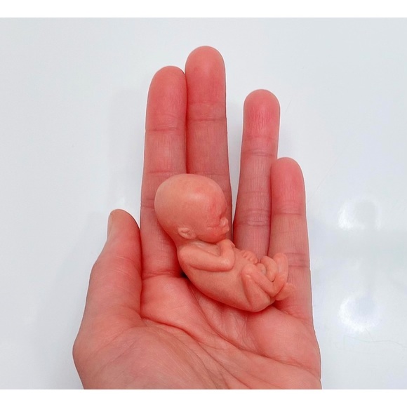Toys | 13 Weeks Baby Fetus Stage Of Fetal Development Memorialmiscarriagekeepsake | Poshmark